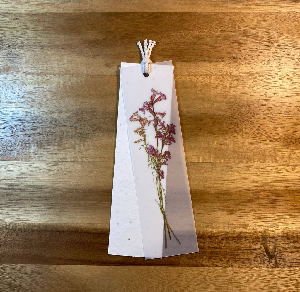 Rebloom 2-in-1 Plantable Bookmark – Catchfly & Wildflowers – Minted Space
